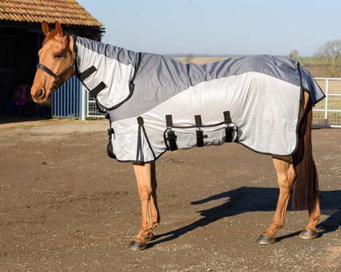 Equestrian King Hybrid Fly Rug Waterproof Back - Robinsons Equestrian