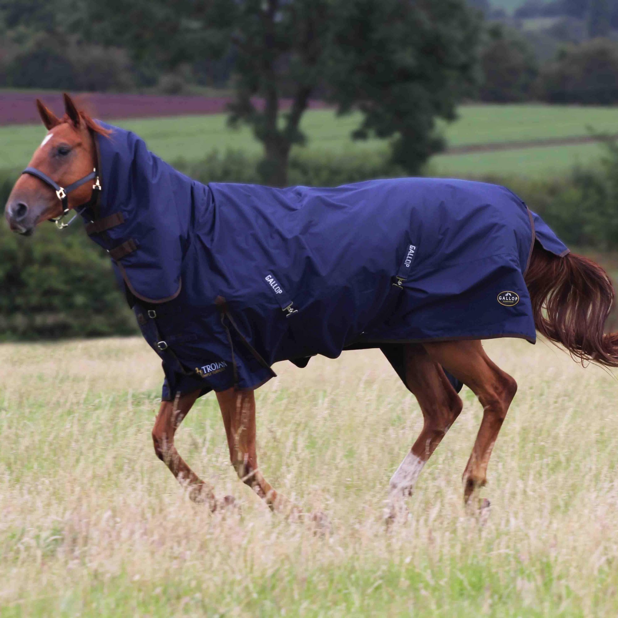 Gallop 450 Heavy Combo Turnout Rug - Robinsons Equestrian