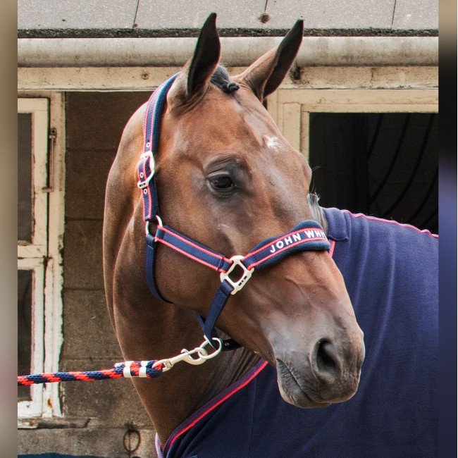 Whitaker Airflow Fleece Head Collar With Leadrope Set - Robinsons ...