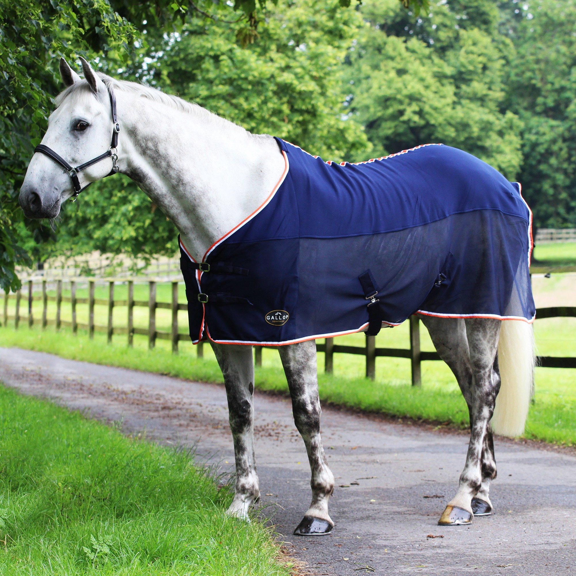 Gallop Jersey Mesh Cooler Rug - Robinsons Equestrian
