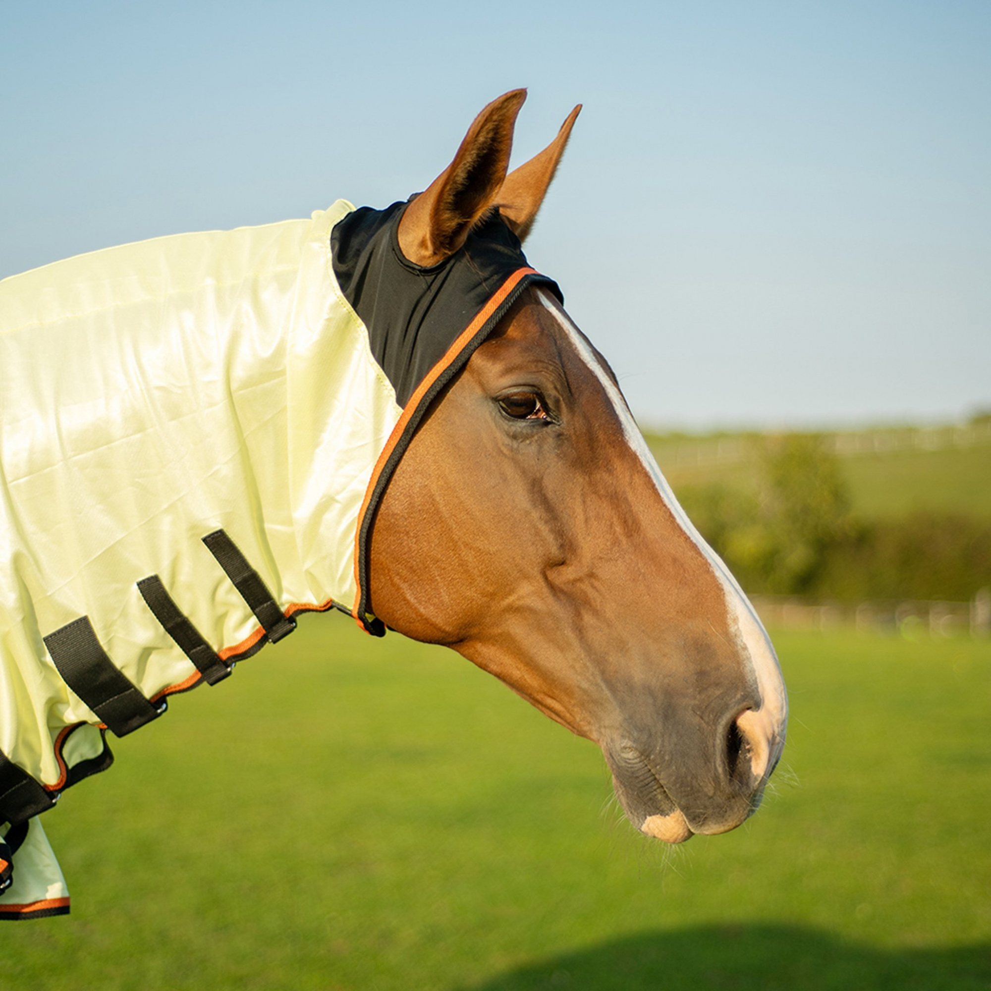 Equilibrium Field Relief Fly Rug - Robinsons Equestrian