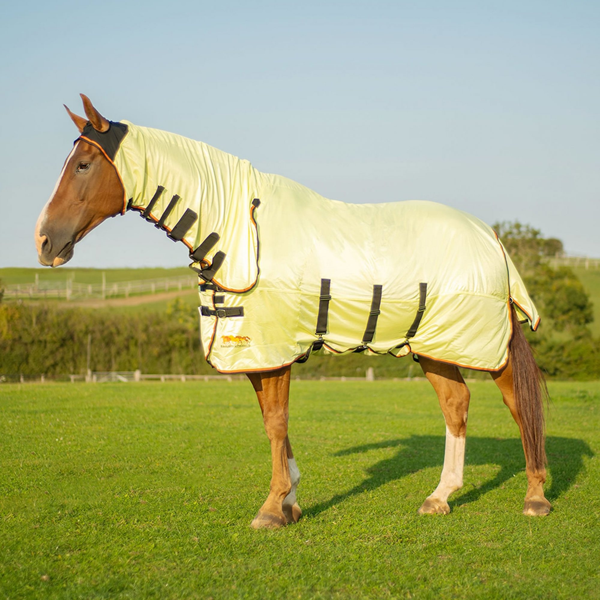 Equilibrium Field Relief Fly Rug - Robinsons Equestrian