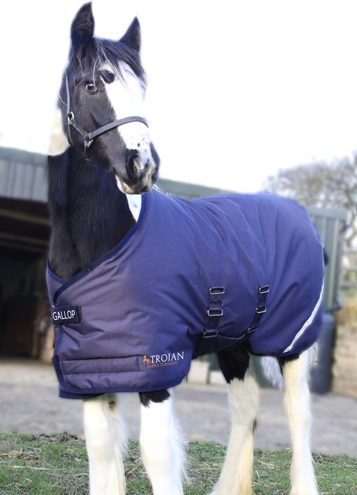 Gallop 200 Flexi-foal Turnout Rug - Robinsons Equestrian