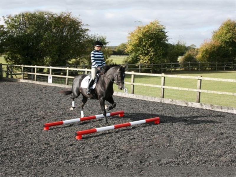 PolyJumps Pole Pods 4 Pack - Robinsons Equestrian