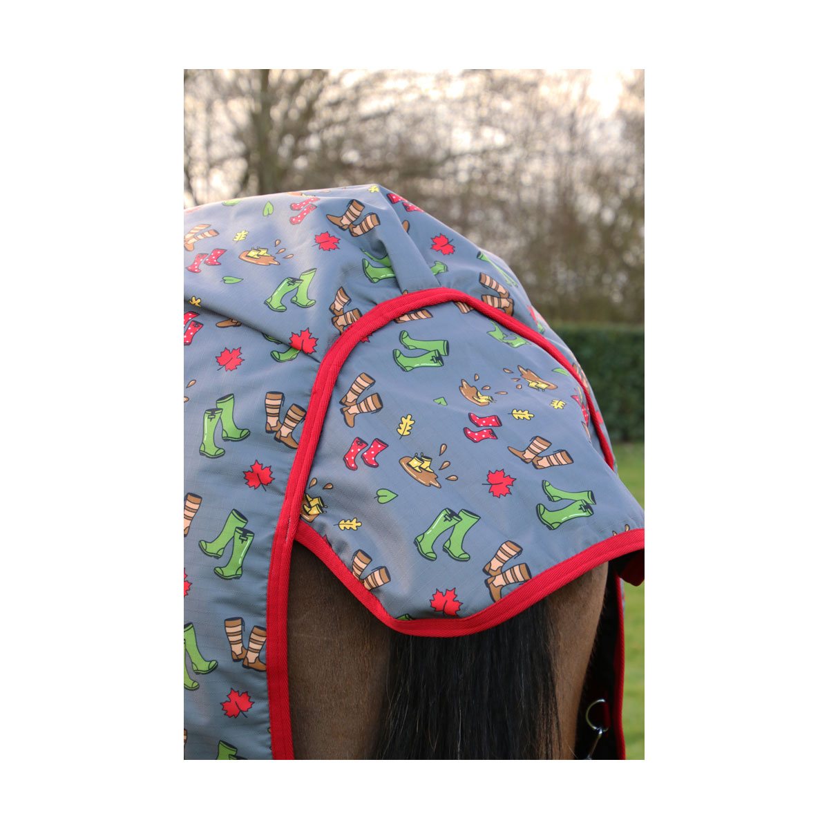 Stormx Original Country Walks 100 Turnout Rug - Robinsons Equestrian