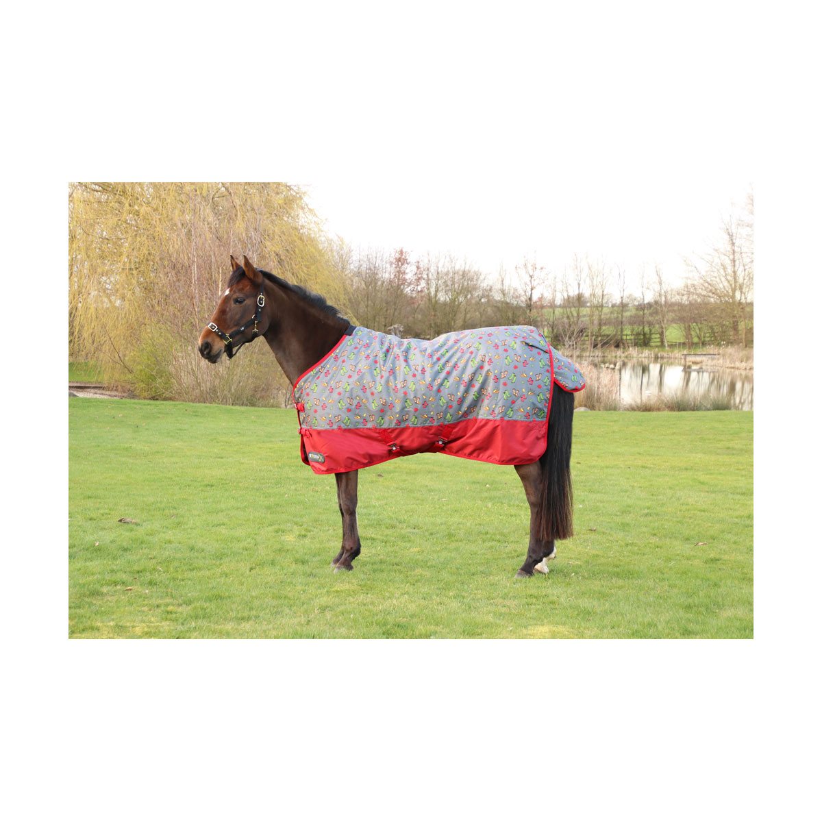 Stormx Original Country Walks 100 Turnout Rug - Robinsons Equestrian