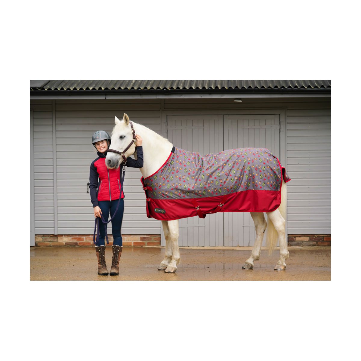 Stormx Original Country Walks 100 Turnout Rug - Robinsons Equestrian