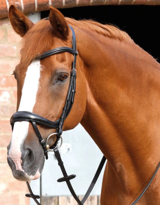 Premier Equine Savuto Anatomic Bridle With Crank Noseband & Flash ...