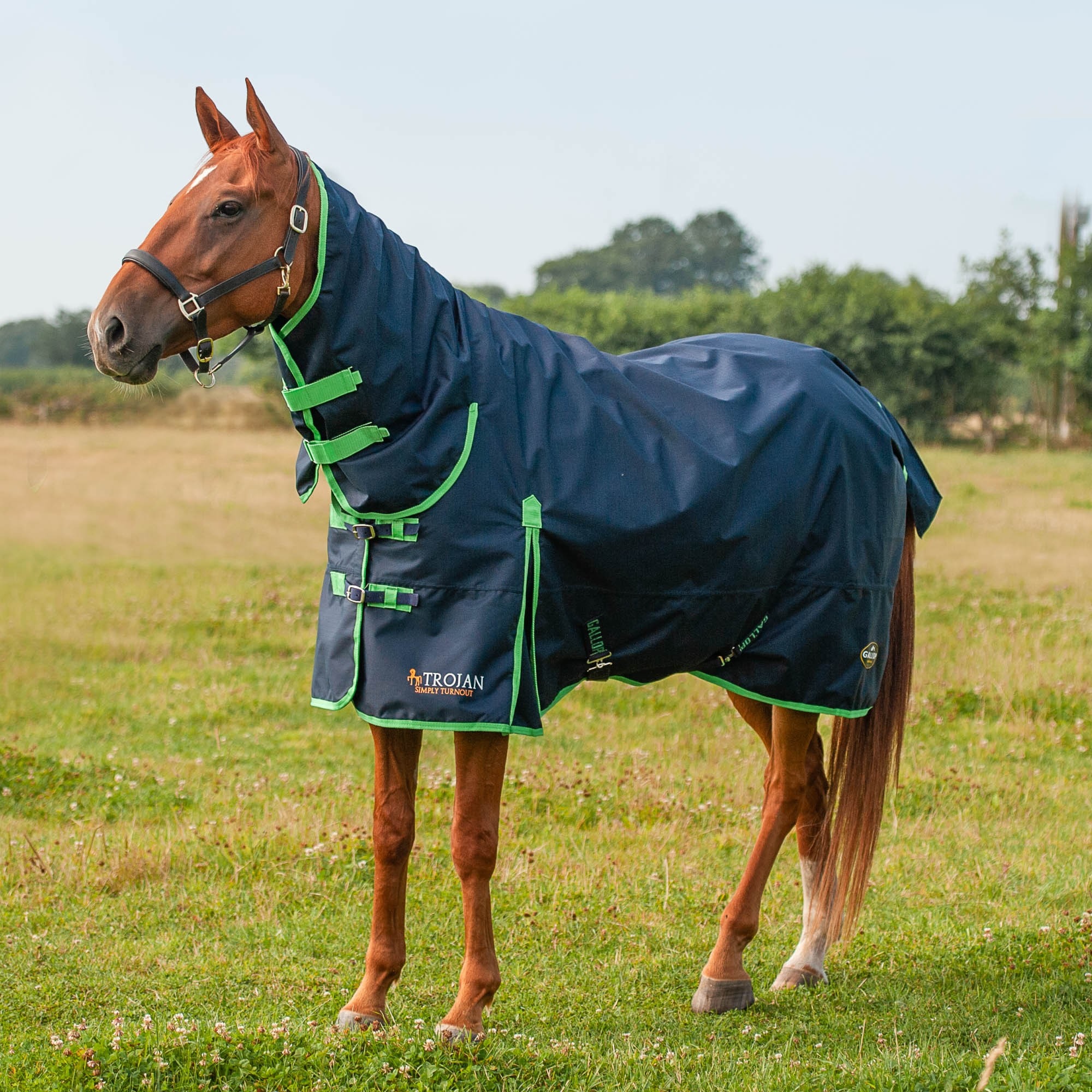 Gallop Trojan Lite-weight Combo Turnout Rug - Robinsons Equestrian