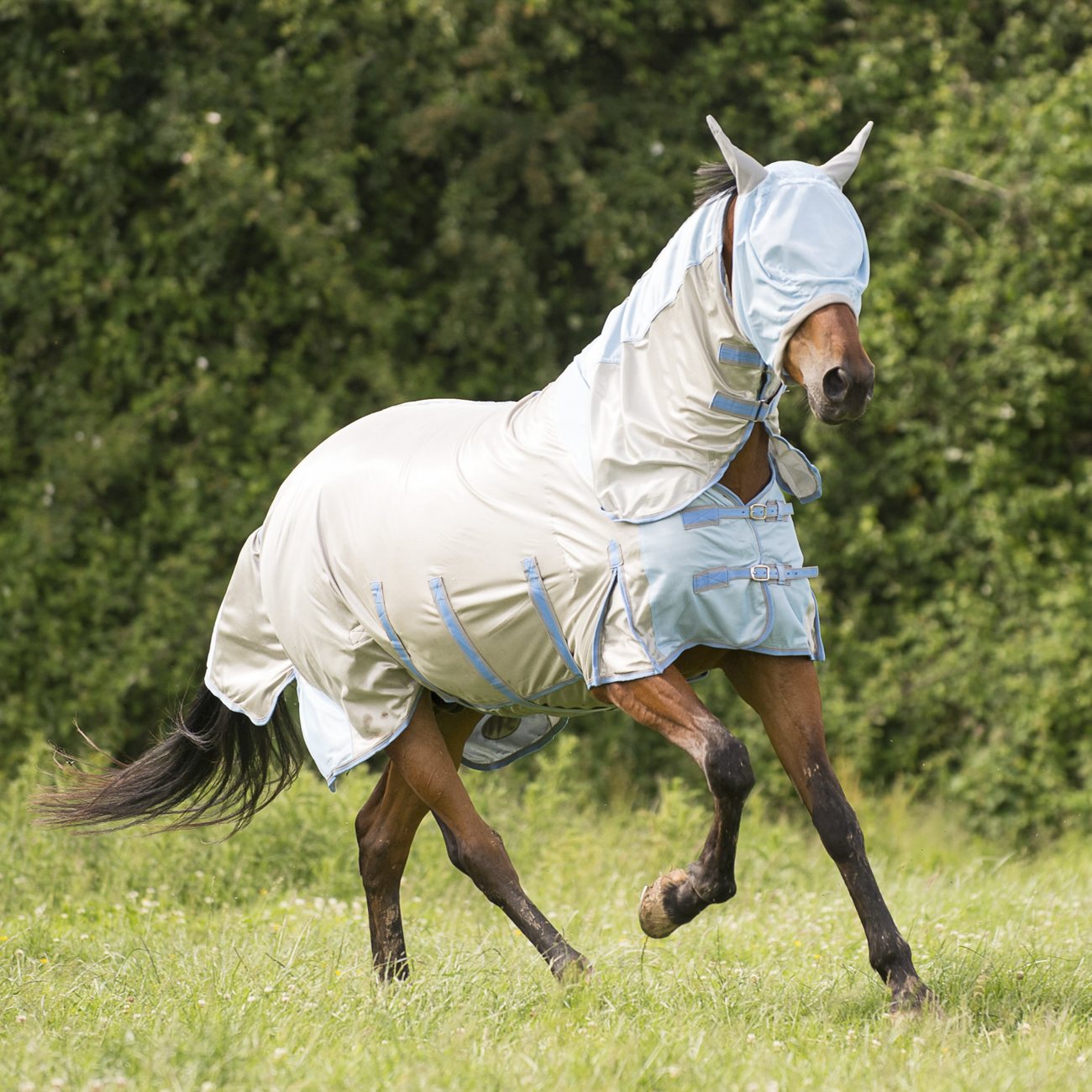 Gallop All In One Fly Rug - Robinsons Equestrian