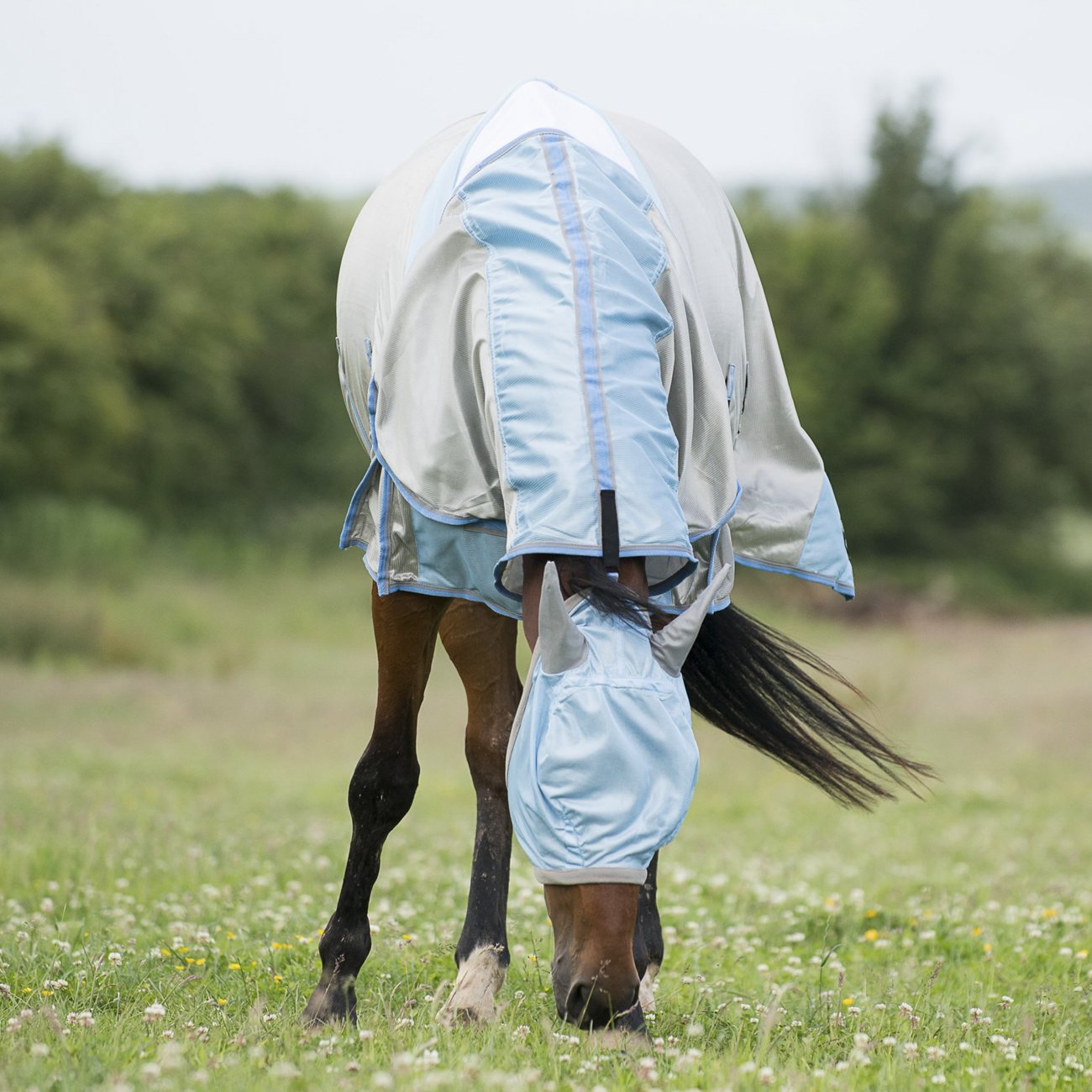 Gallop All In One Fly Rug - Robinsons Equestrian