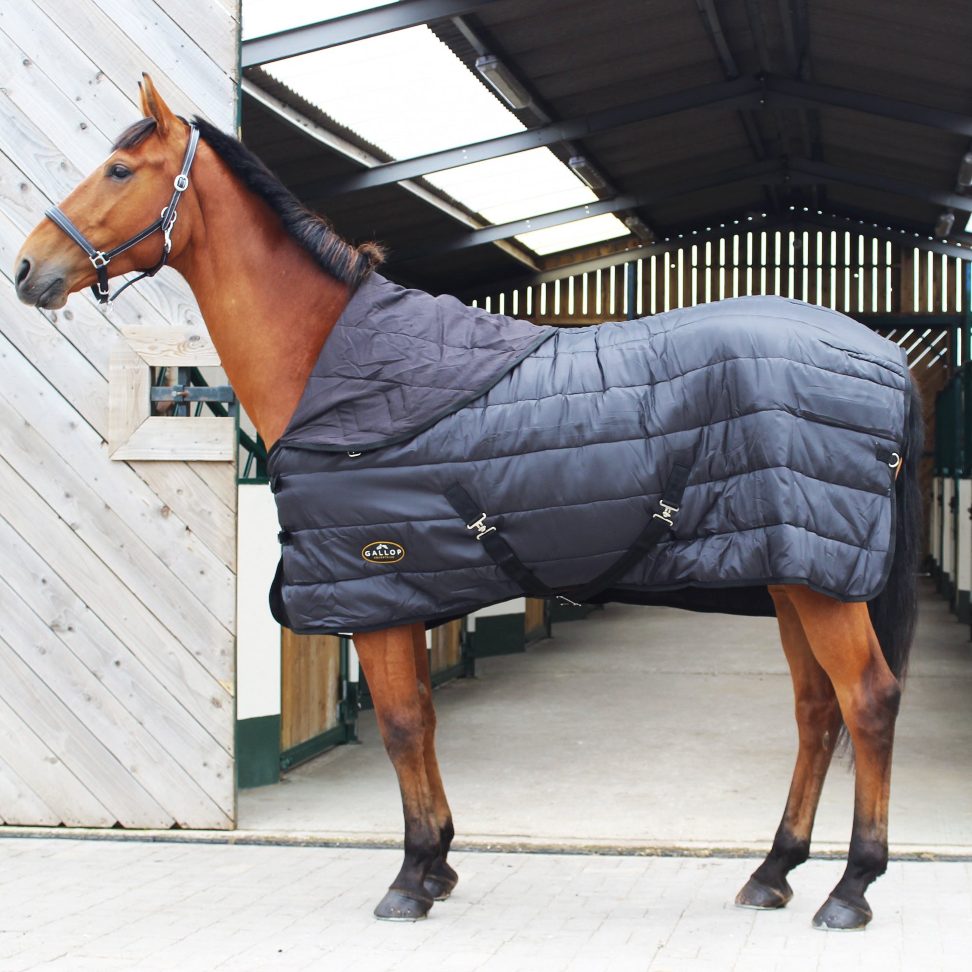 Gallop Maverick/trojan 150 Flexi Dual Rug Stable Rug (dual) - Robinsons ...