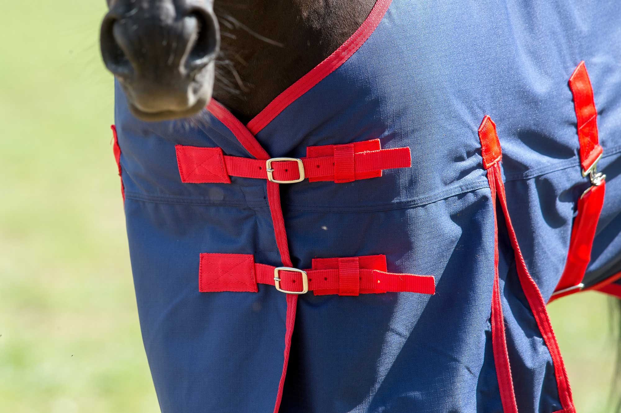 Gallop Trojan 200g Turnout Rug Standard Neck - Robinsons Equestrian