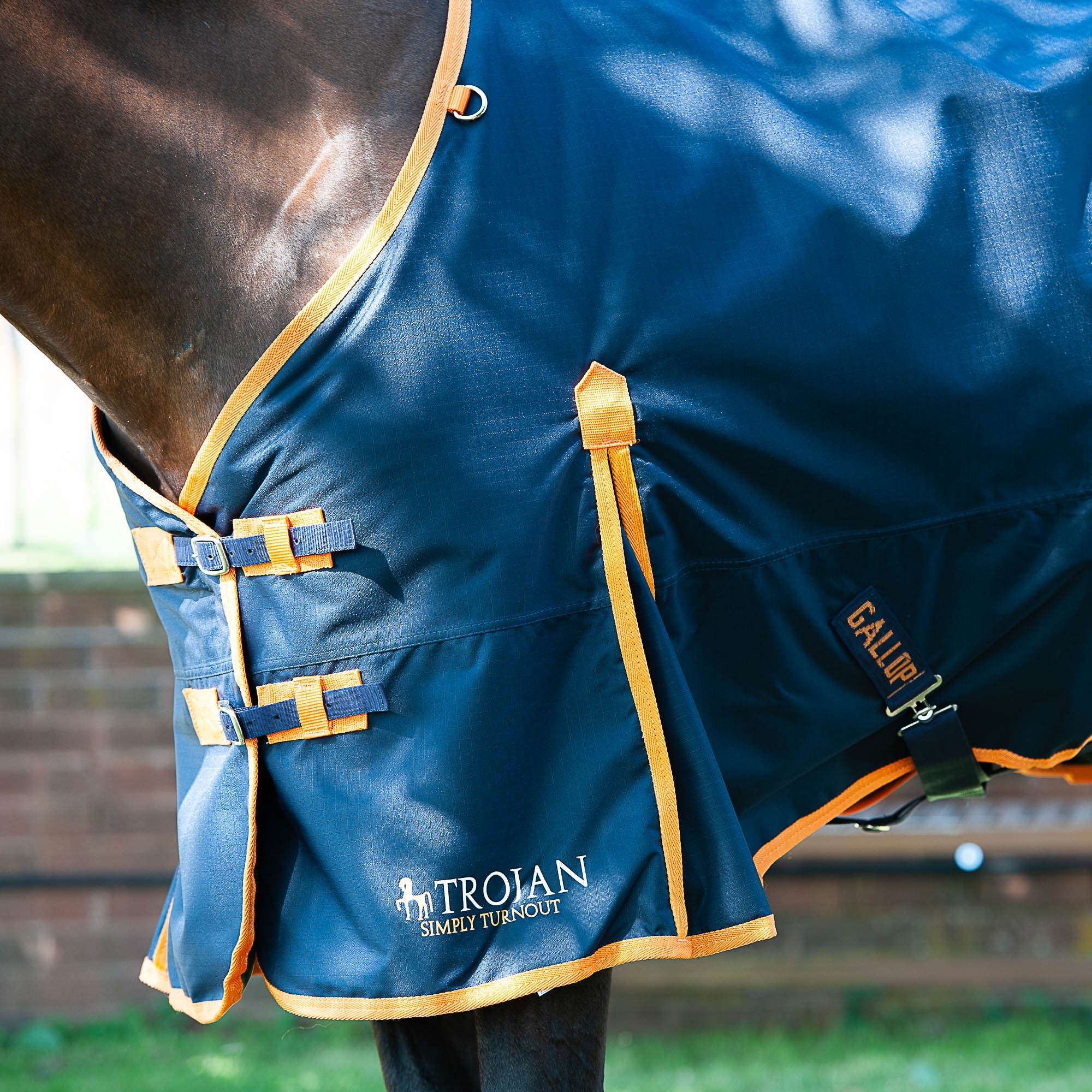 Gallop Trojan 100g Standard Turnout - Robinsons Equestrian