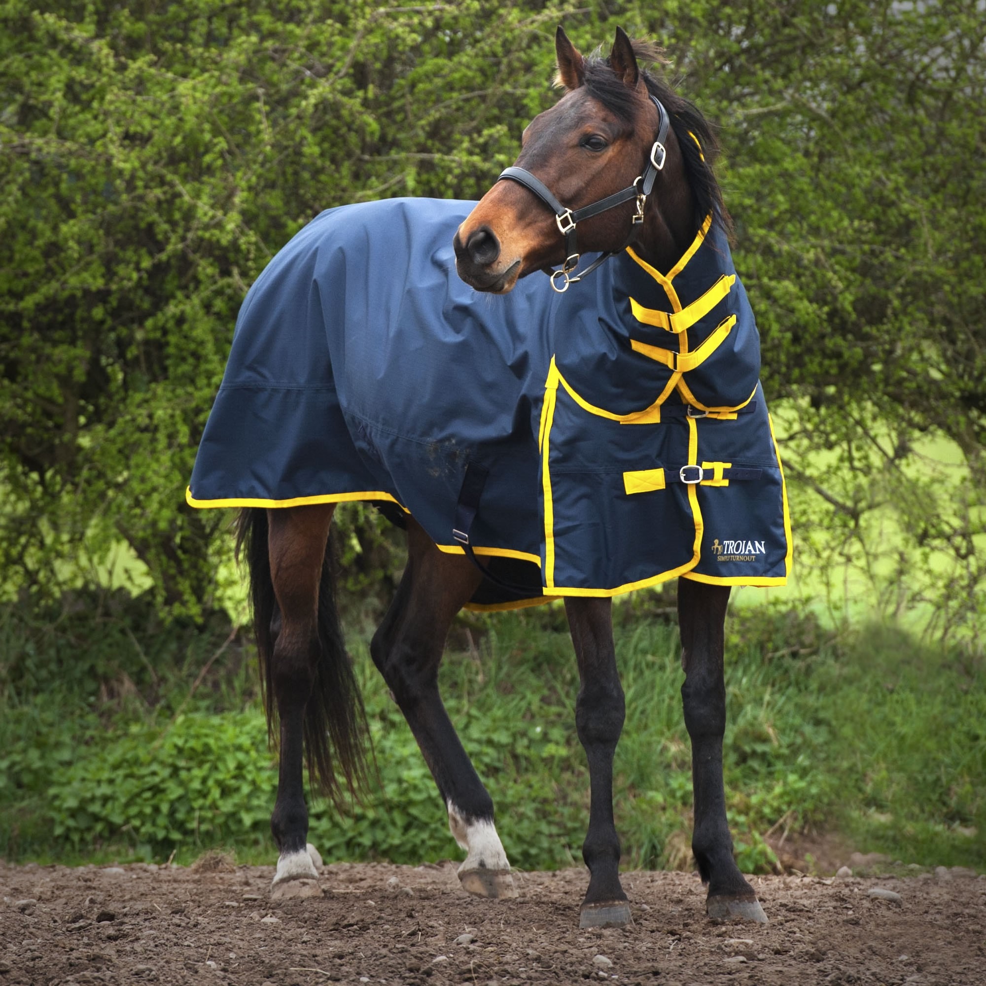 Gallop Trojan 200g Combo Turnout Rug - Robinsons Equestrian