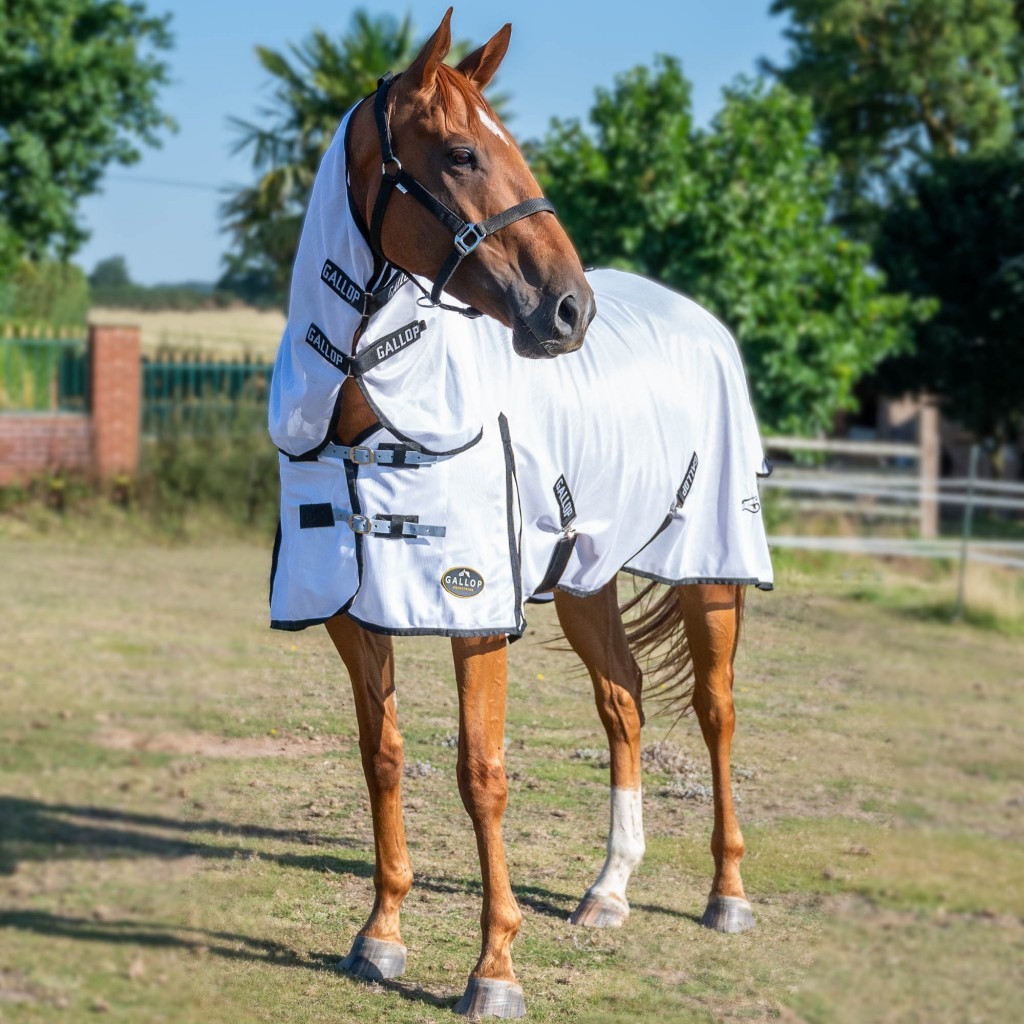 Gallop Classic Mesh Combo Fly Rug - Robinsons Equestrian
