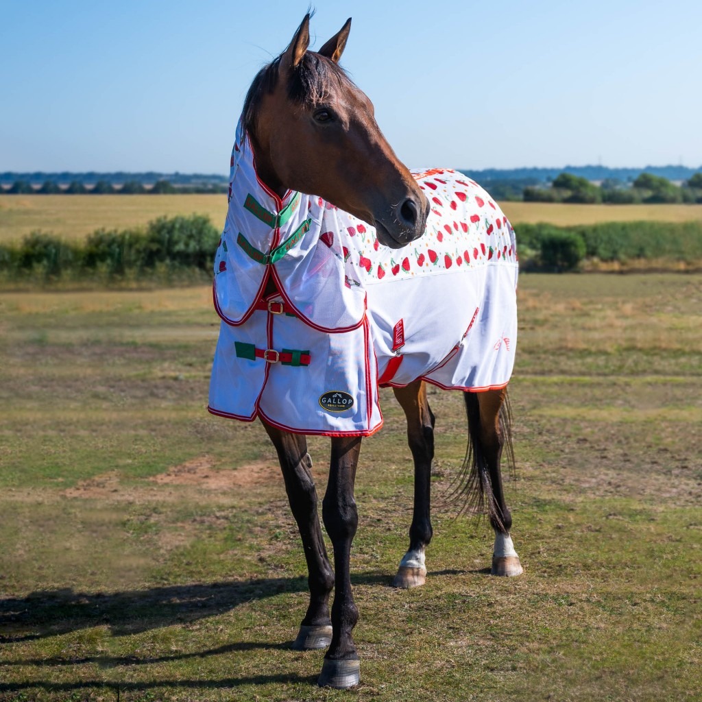 Gallop Berries & Cherries Combo Fly Rug - Robinsons Equestrian