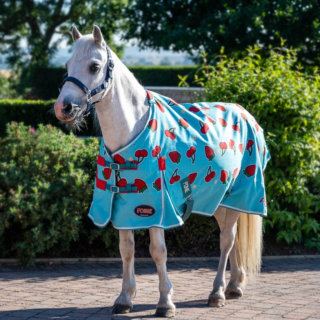 Gallop Ponie Berries & Cherries Light Turnout Rug - Robinsons Equestrian