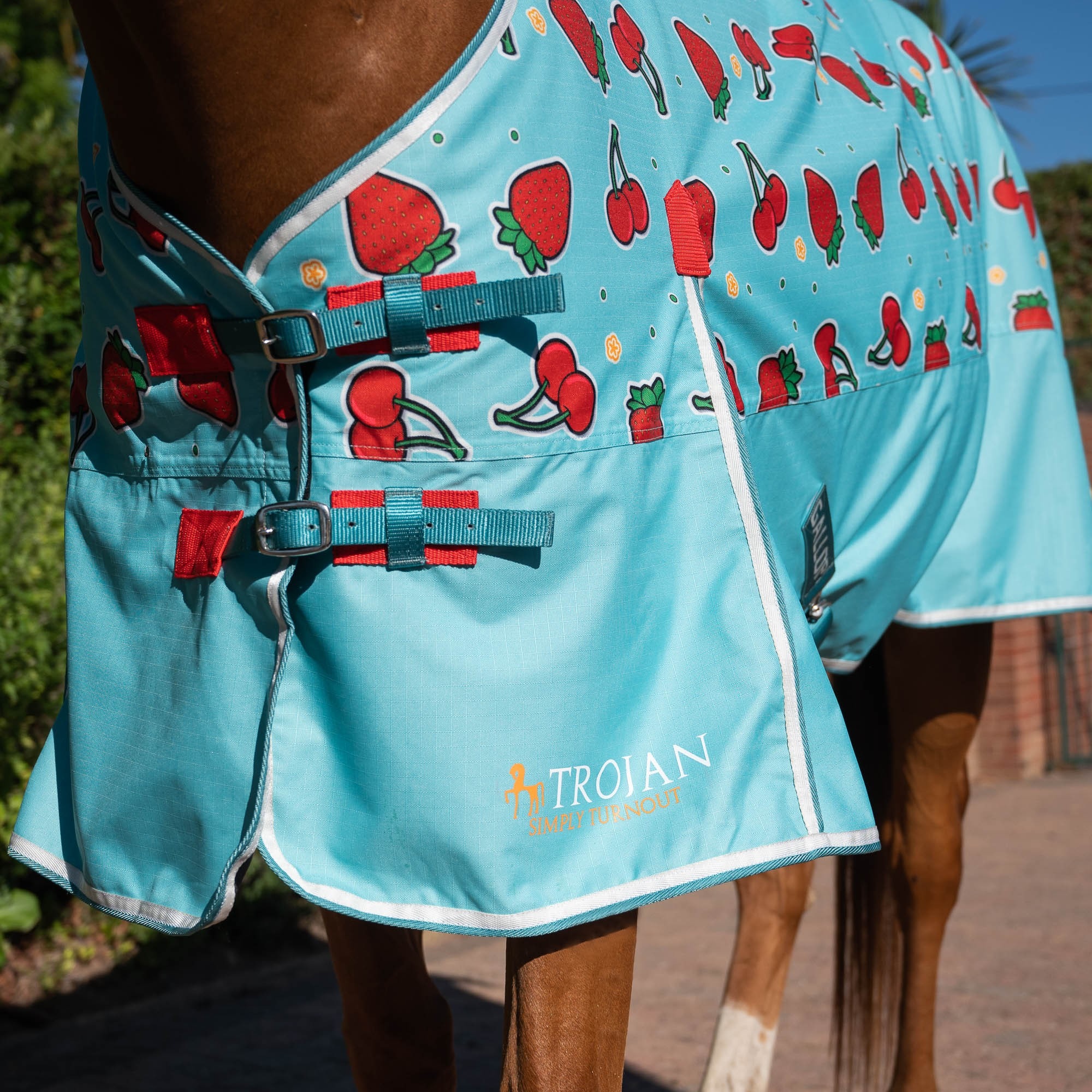 Gallop Trojan Berries & Cherries Light Turnout Rug - Robinsons Equestrian