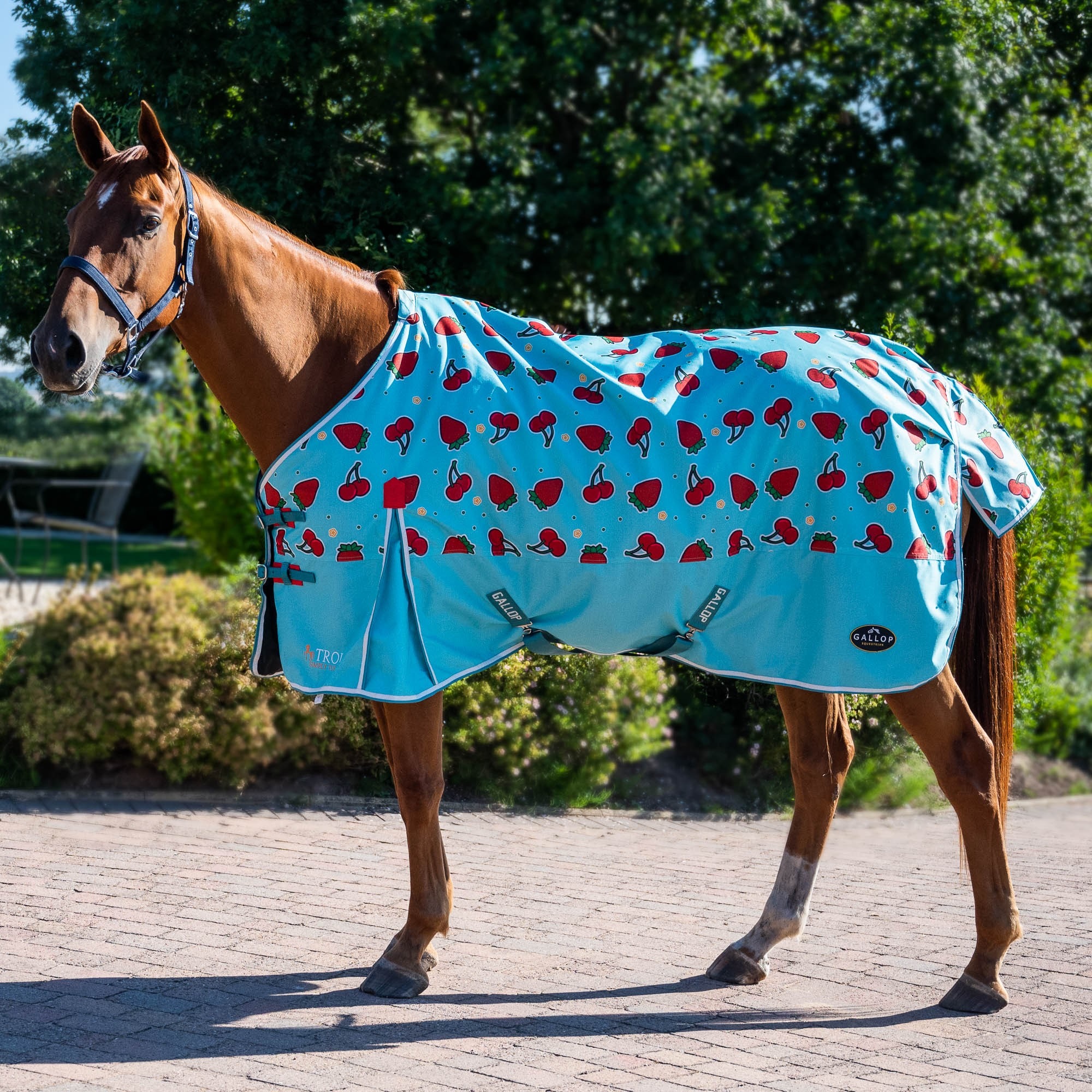 Gallop Trojan Berries & Cherries Light Turnout Rug - Robinsons Equestrian