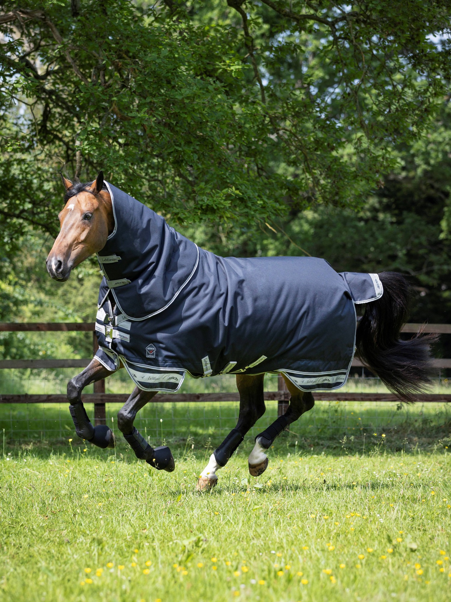 LeMieux Arika Storm-tek Medium Weight 200g - Robinsons Equestrian