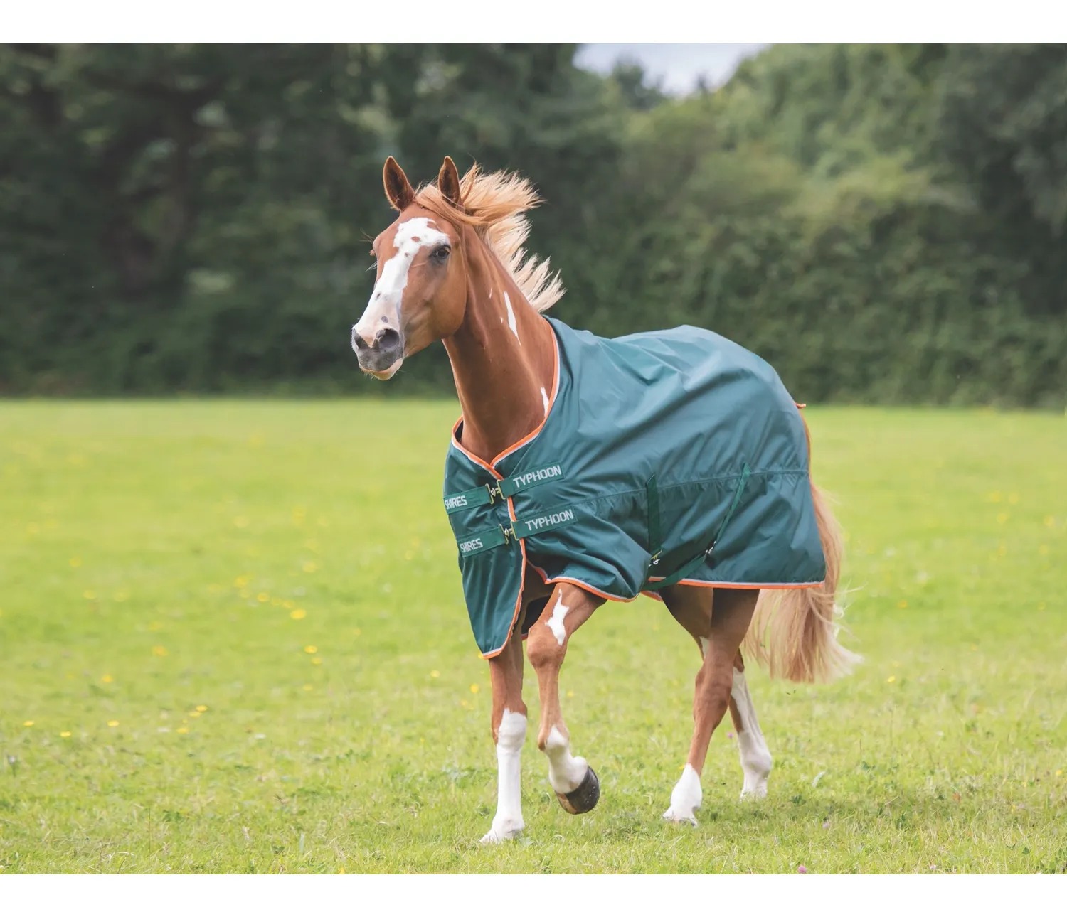 Shires Typhoon Lite Turnout Rug - Robinsons Equestrian