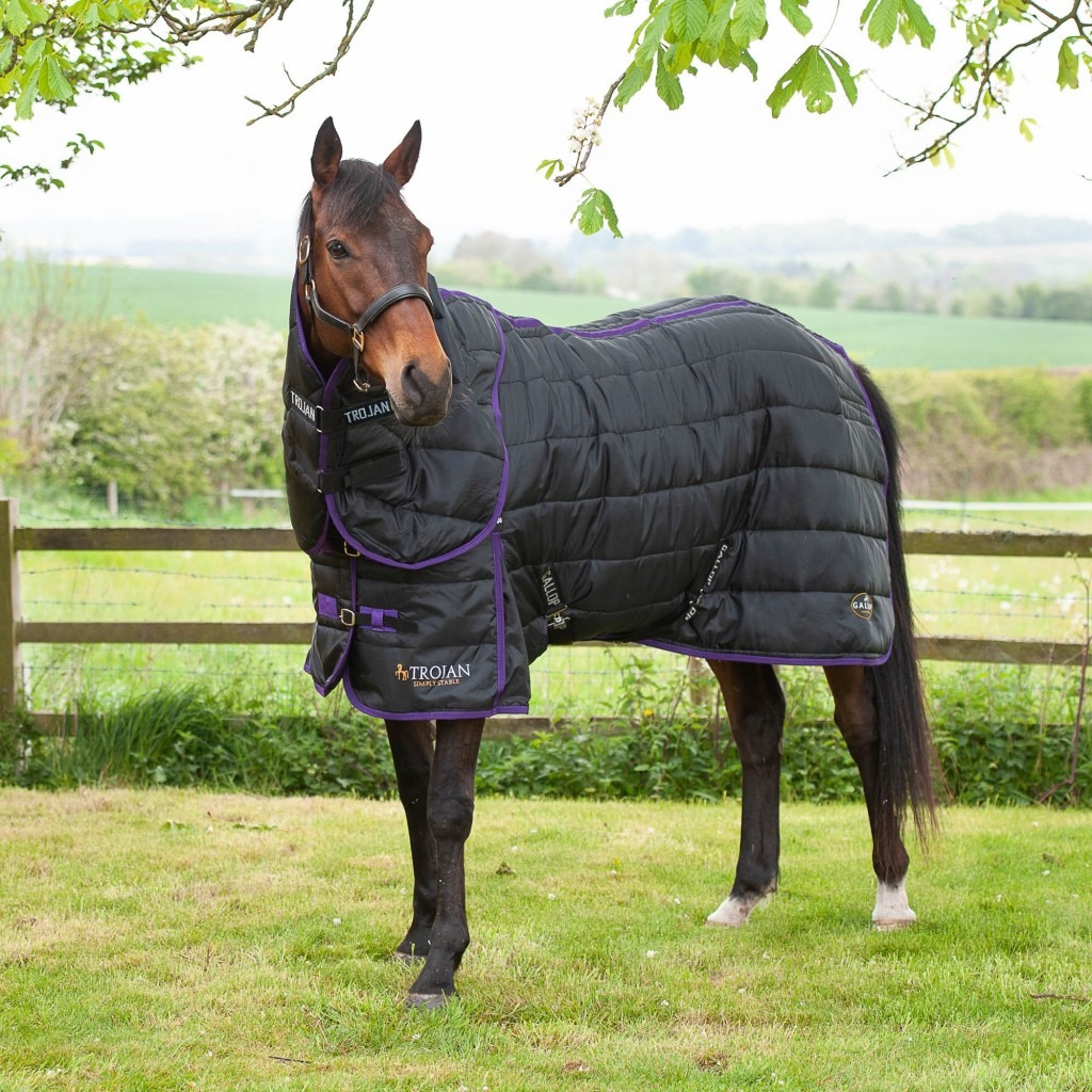 Gallop Trojan Dual 200 Stable Rug & Neck Set - Robinsons Equestrian