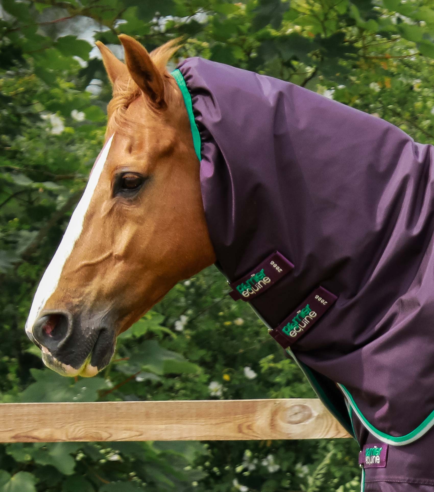 Buster 200g Turnout Rug with Snug-Fit Neck Cover - Robinsons Equestrian