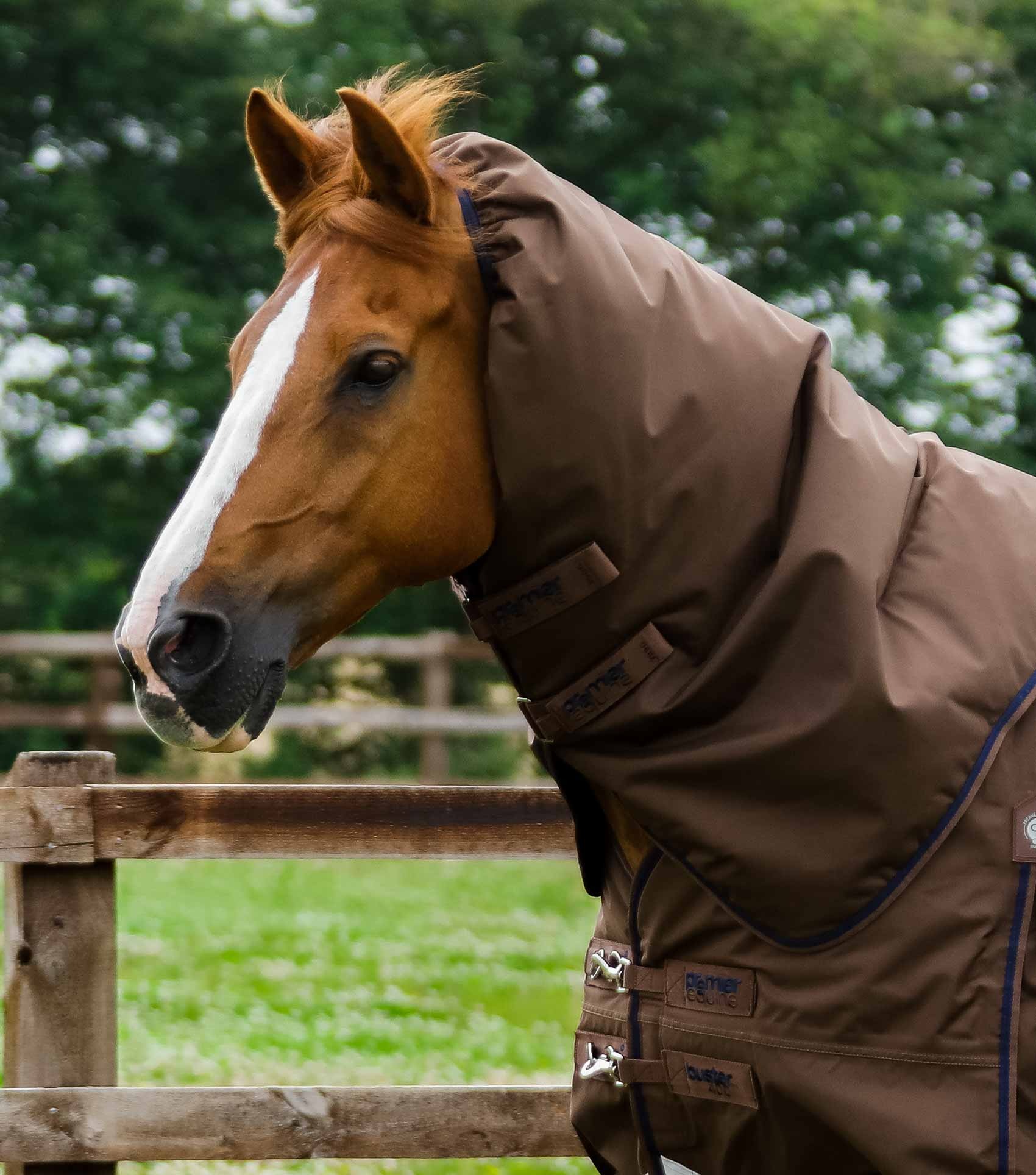 Buster 400g Turnout Rug with Snug-Fit Neck Cover - Robinsons Equestrian