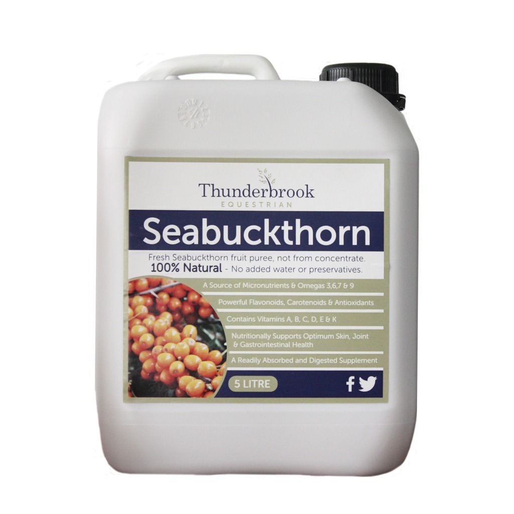 Thunderbrook Seabuckthorn - 5L - Robinsons Equestrian