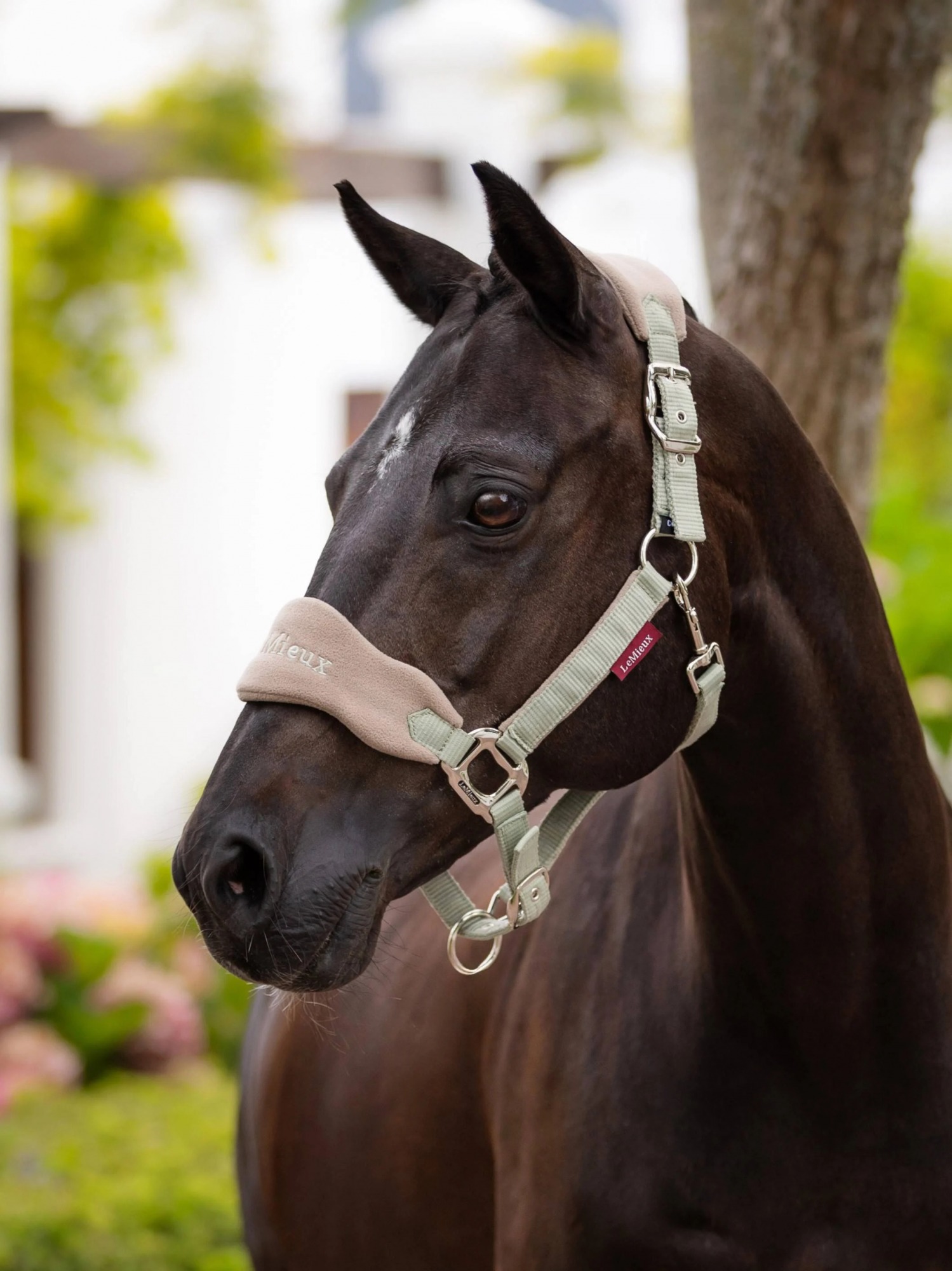 LeMieux Vogue Headcollar & Leadrope - Robinsons Equestrian