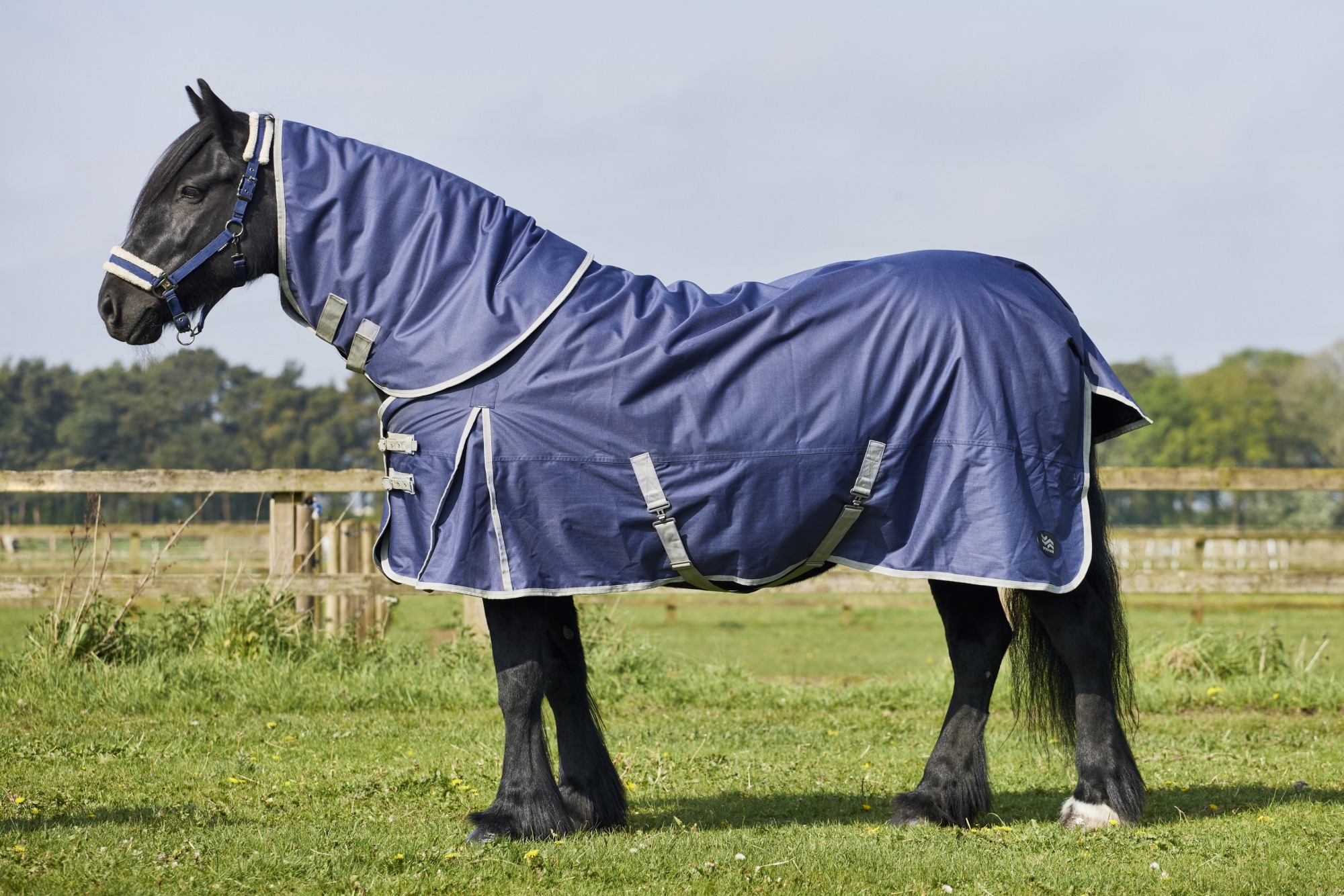 Firefoot 50G Detachable Neck Turnout Rug - Robinsons Equestrian