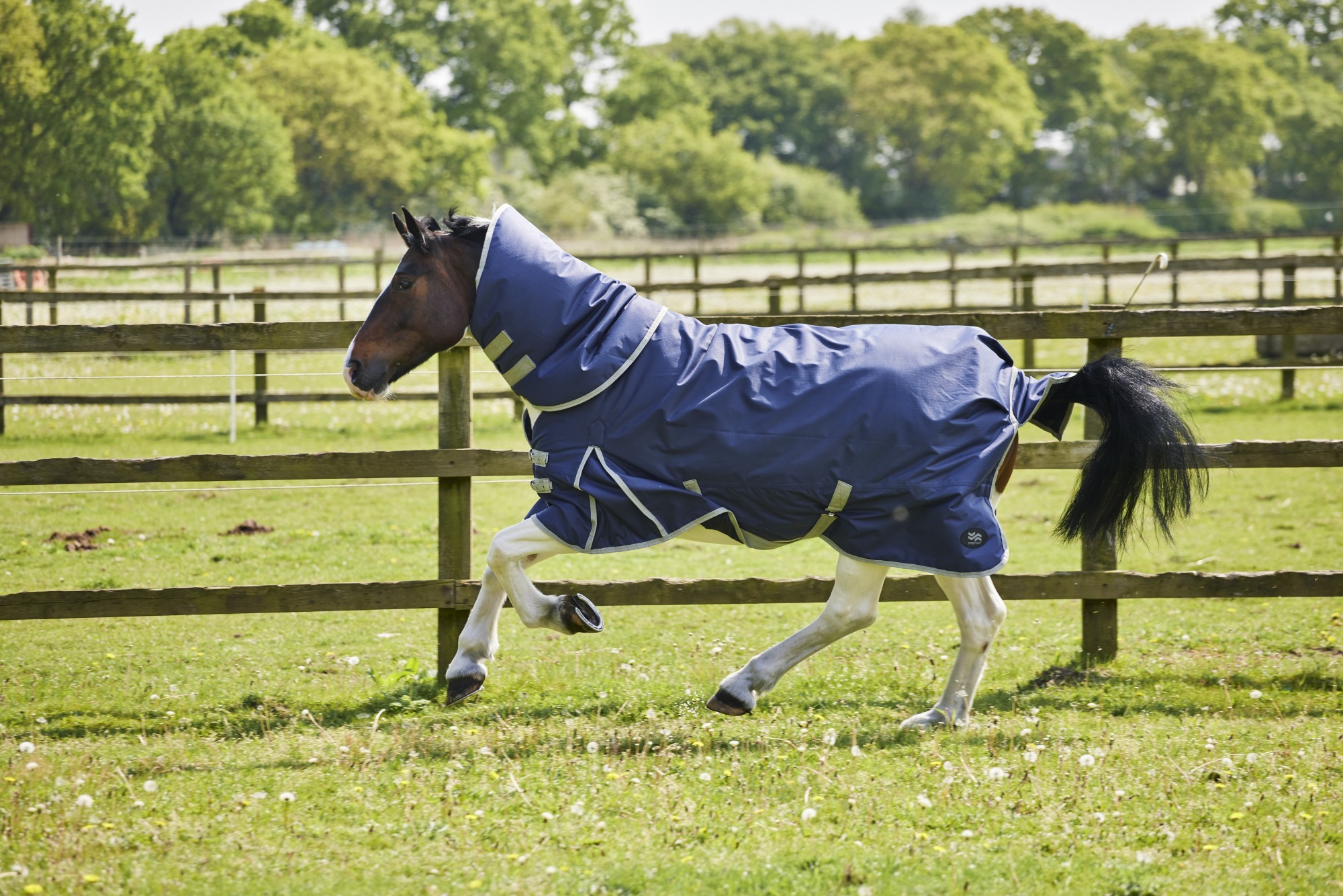 Firefoot 50G Detachable Neck Turnout Rug - Robinsons Equestrian