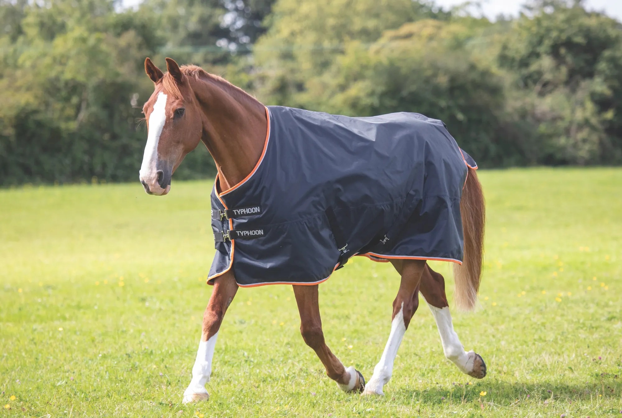 Shires Typhoon 200 Turnout Rug - Robinsons Equestrian