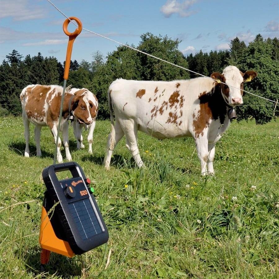 Gallagher S20 Solar Fencer - Robinsons Equestrian