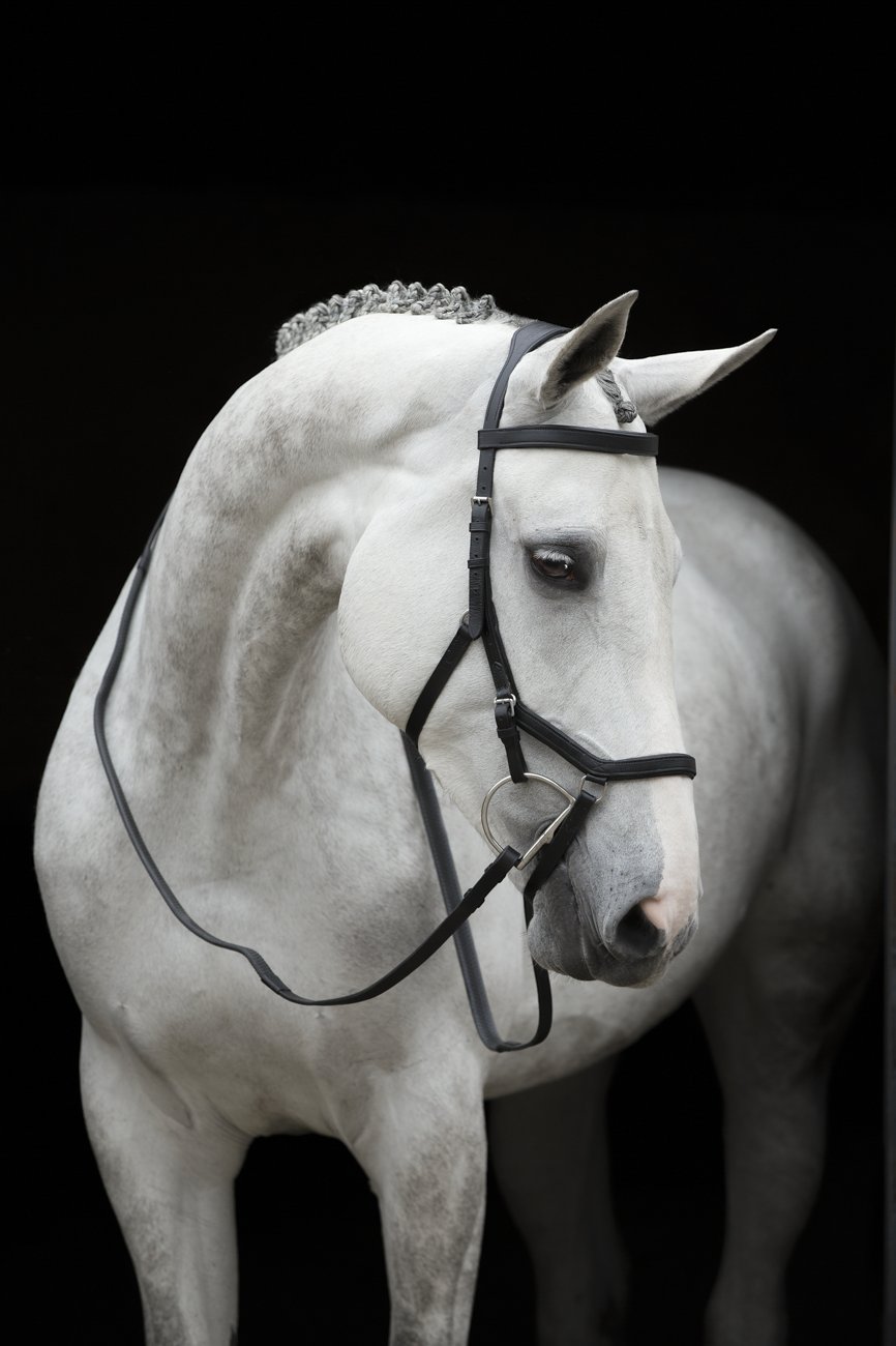 Rambo Micklem Original Competition Bridle - Robinsons Equestrian