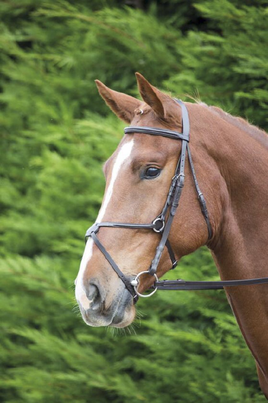 Aviemore/velociti Mexican Bridle - Robinsons Equestrian