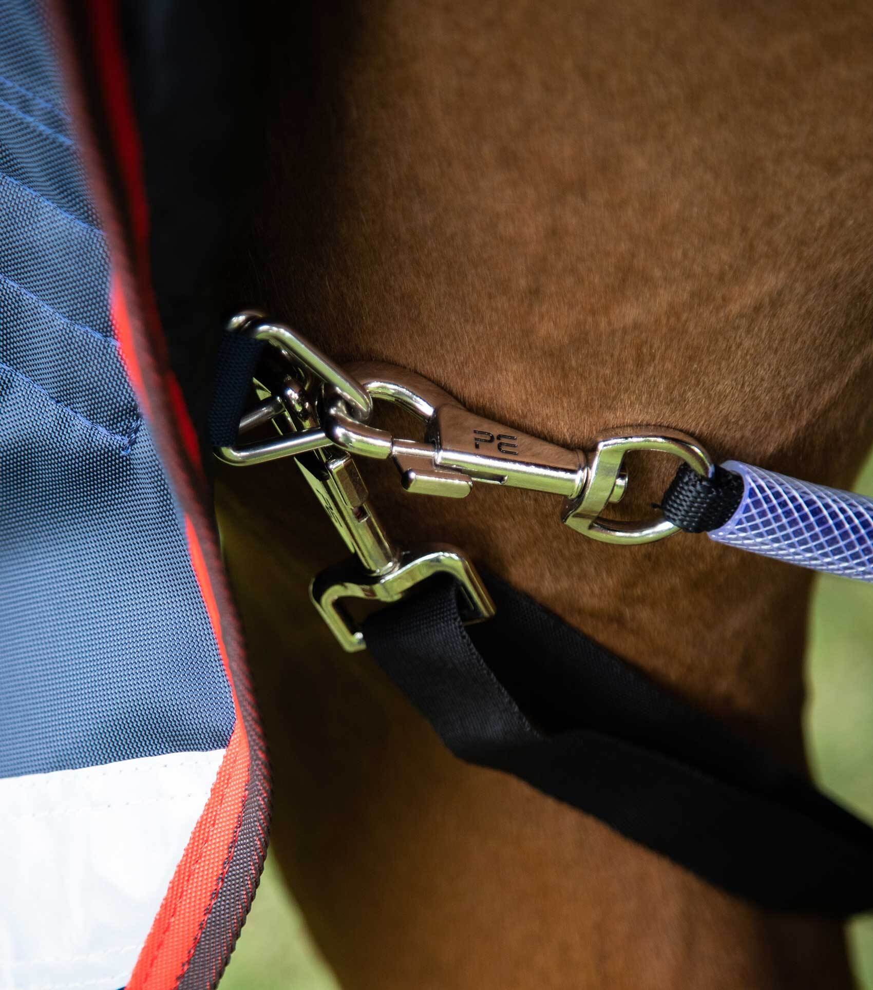 Premier Equine Detachable Leg Straps - Robinsons Equestrian