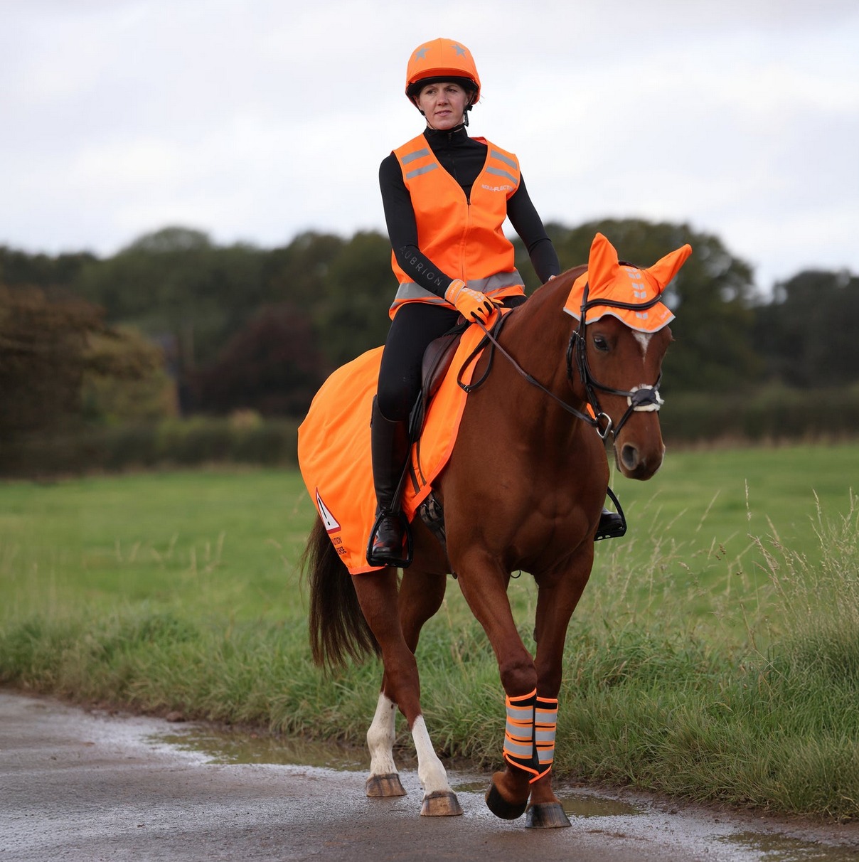 Shires Equi-Flector Mesh Exercise Sheet - Robinsons Equestrian