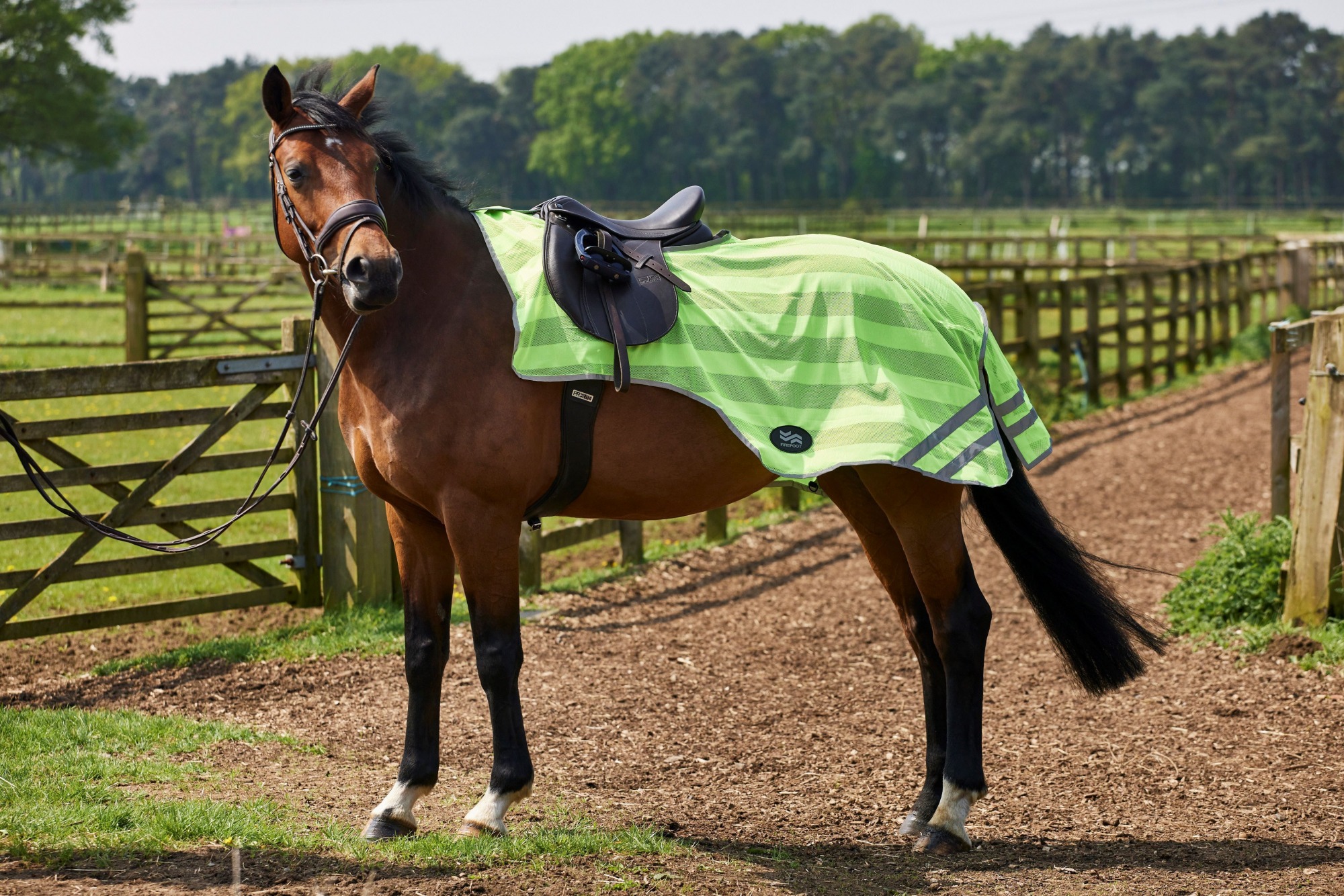 Firefoot Exercise Sheet - Robinsons Equestrian