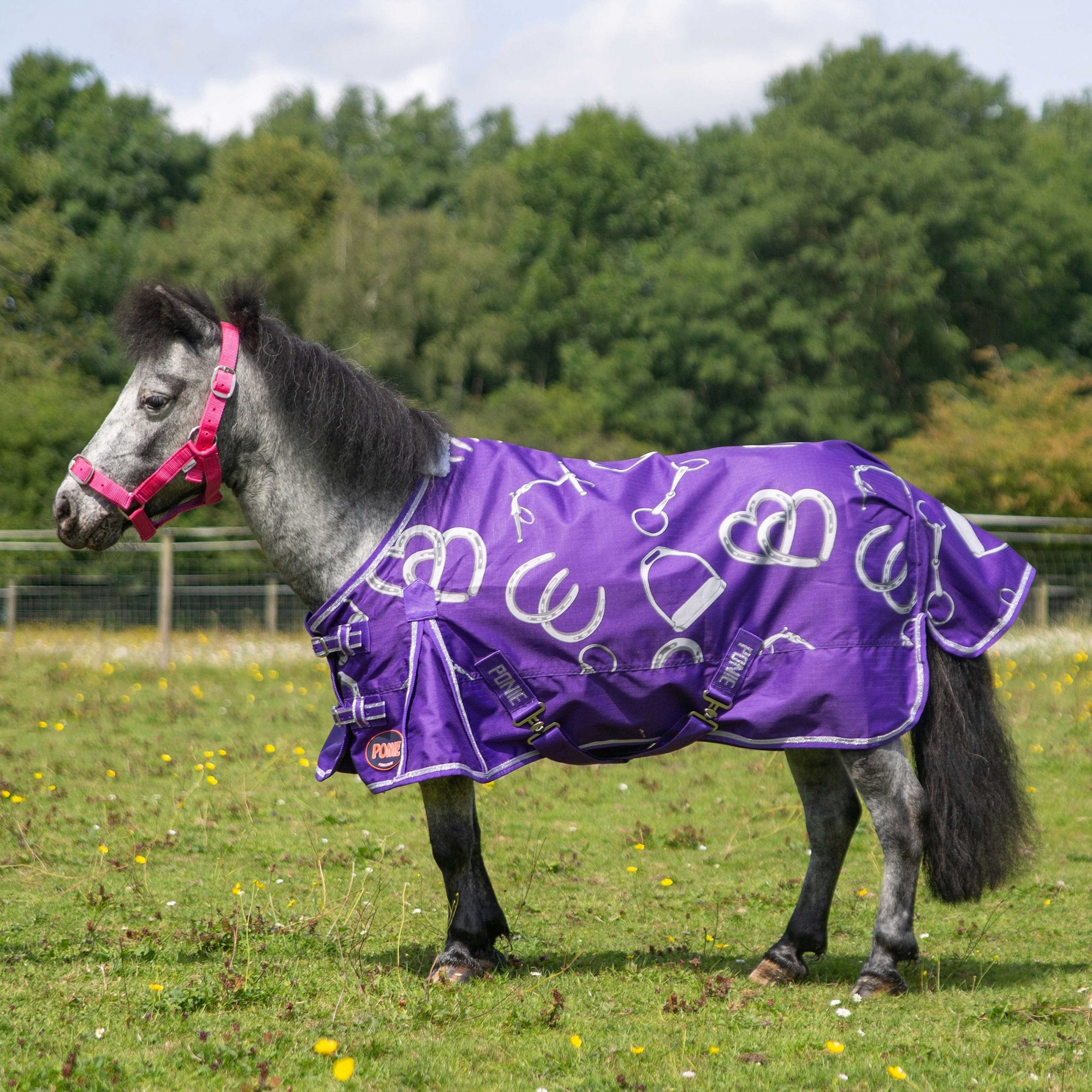 Gallop New Ponie 'Bits of Luck' Lightweight Turnout - Robinsons Equestrian