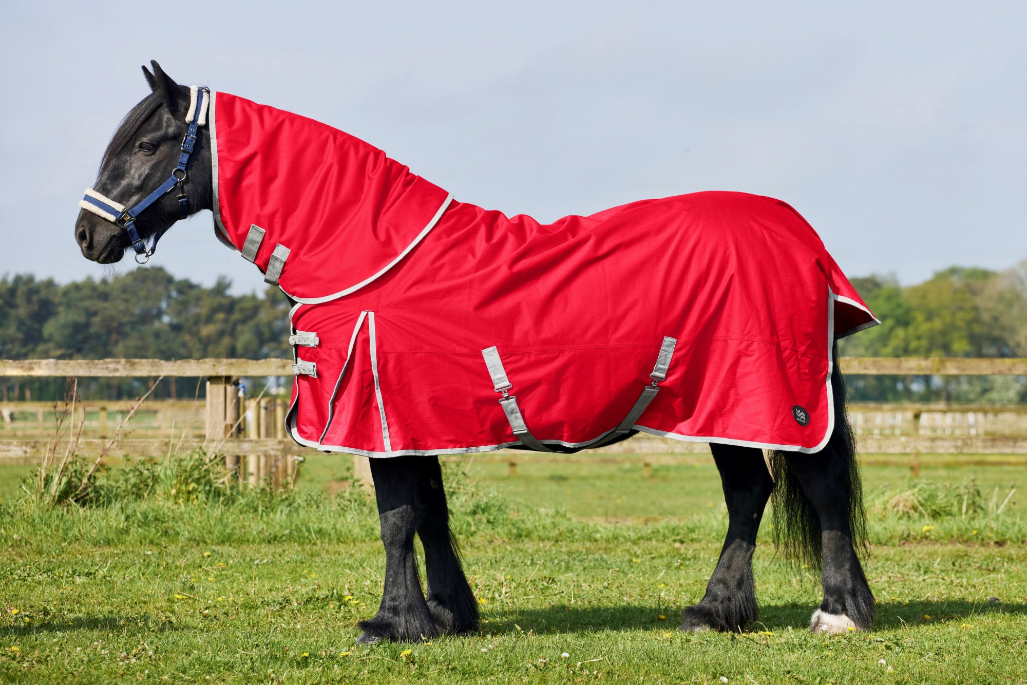 Firefoot Detachable Neck 200G Turnout Rug - Turnout - Robinsons Equestrian