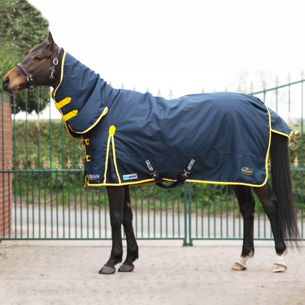 Gallop Trojan Duraproof Combo Turnout 200G - Turnout - Robinsons Equestrian