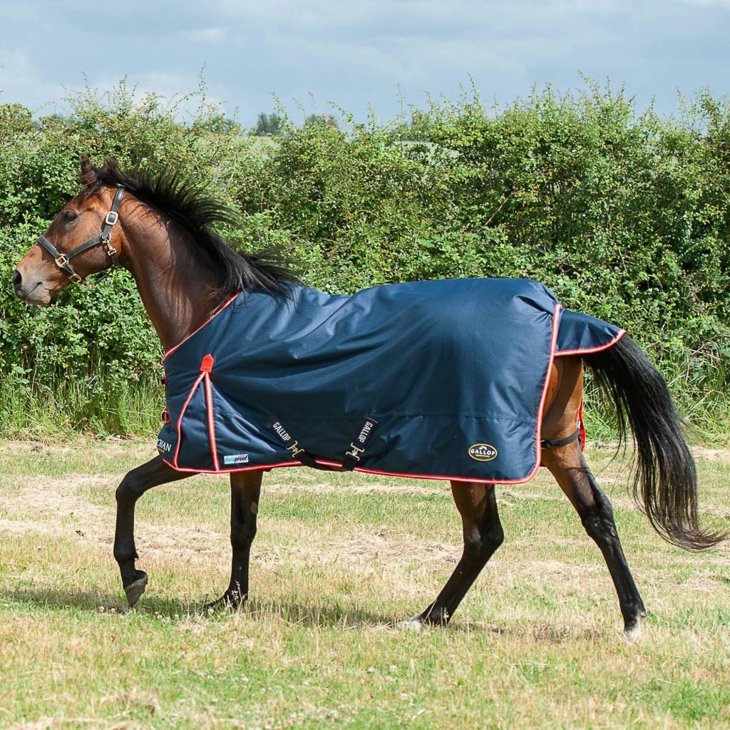 Gallop Trojan Duraproof 200G 5 - Point Standard Neck Turnout ...