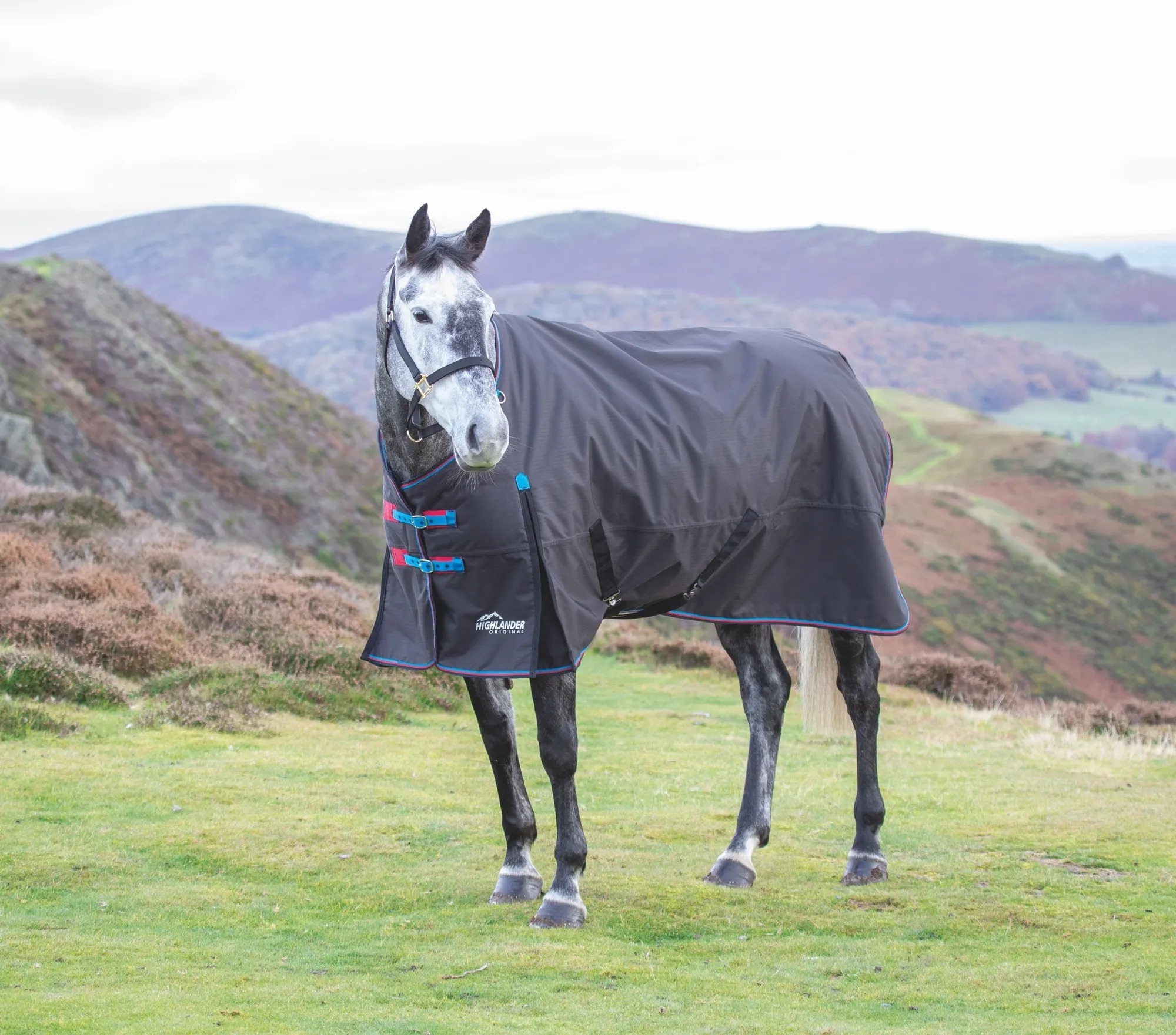 Shires Highlander 200 Std Neck Black - Robinsons Equestrian