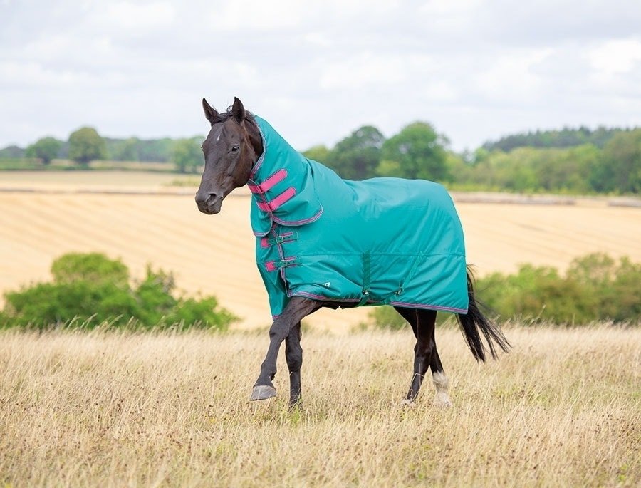 Shires Tempest Original 100 Combo Turnout Rug - Robinsons Equestrian