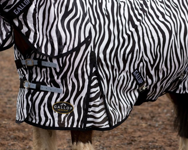 Gallop Zebra Combo Fly Rug x Surcingle - Robinsons Equestrian