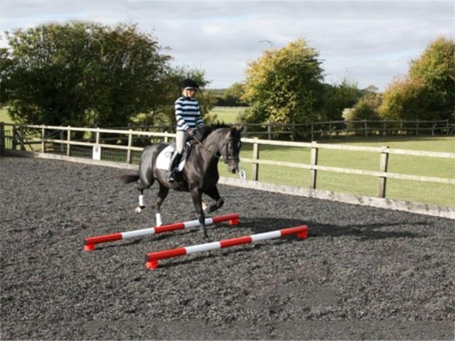 PolyJumps Pole Pods 4 Pack - Robinsons Equestrian