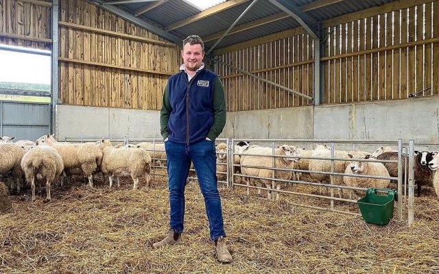 Back British Farming Men's Navy Fleece Gilet - Robinsons Equestrian